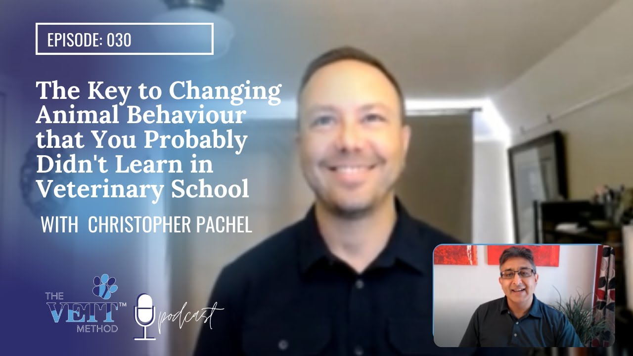 The Key to Changing Animal Behaviour with Christopher Pachel - YouTube