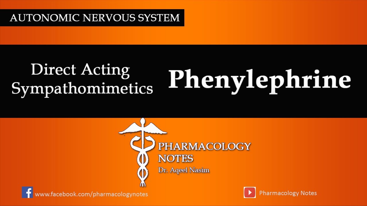 phenylephrine pharmacology - pharmacology - adrenergic receptors ...