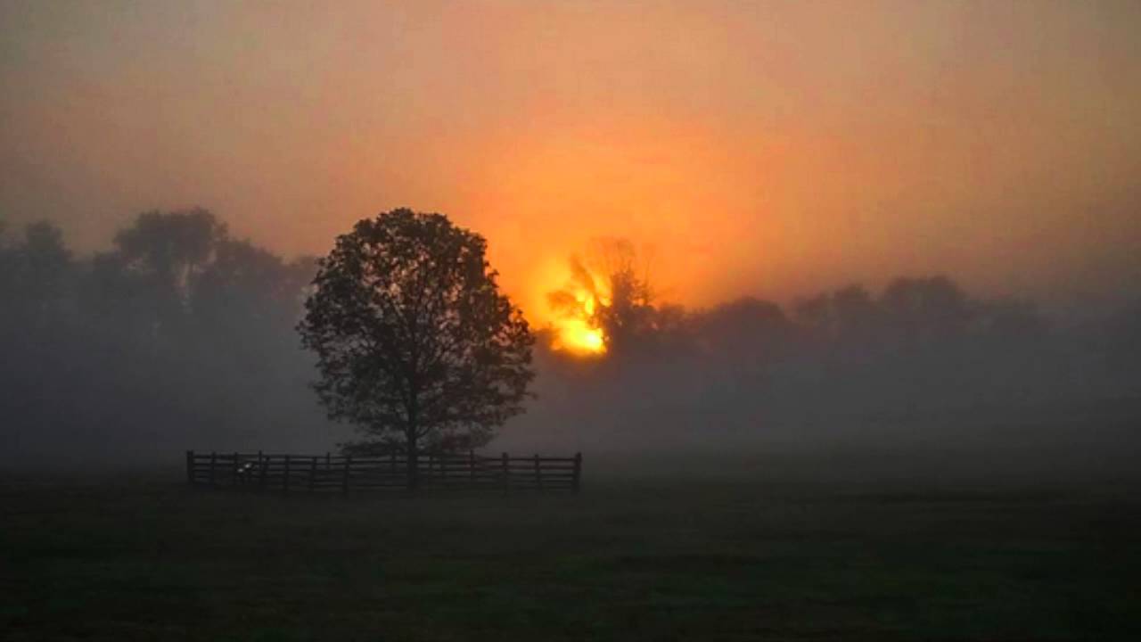 NJ Senator Kip Bateman: It's critically important to save the Princeton ...