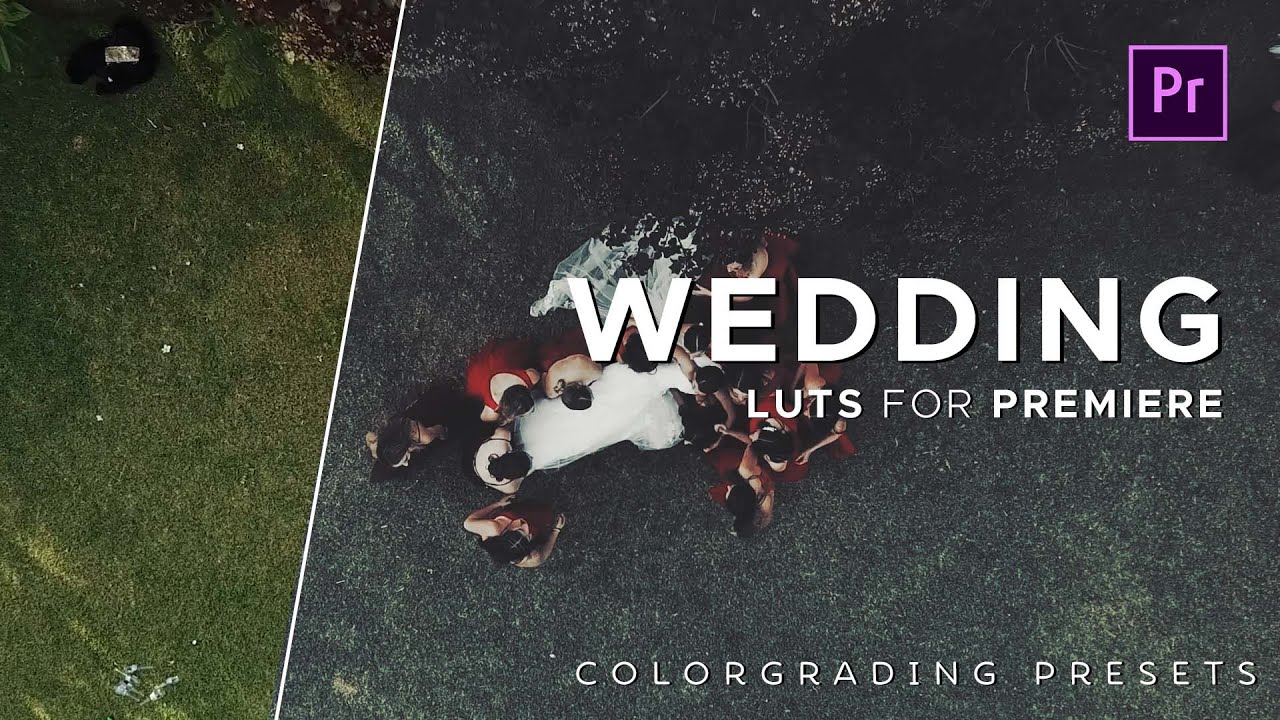 30 FREE Wedding Luts | Free Color Grading Presets For Premiere Pro ...