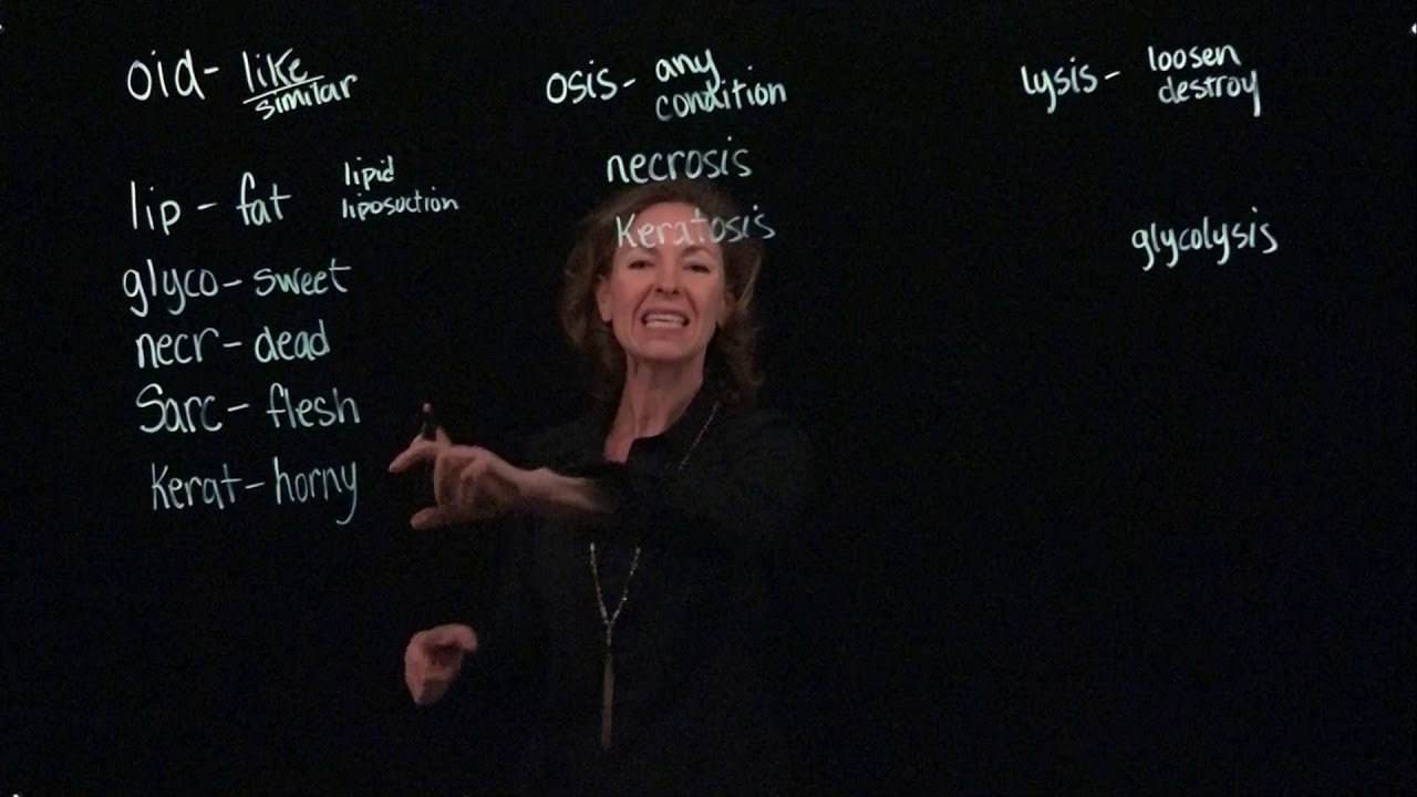 Medical Terminology lesson 2 - YouTube