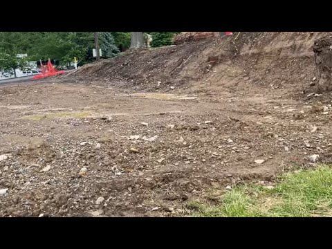 The Remains of what Used to be home to two Old Overgrown Condensers ...