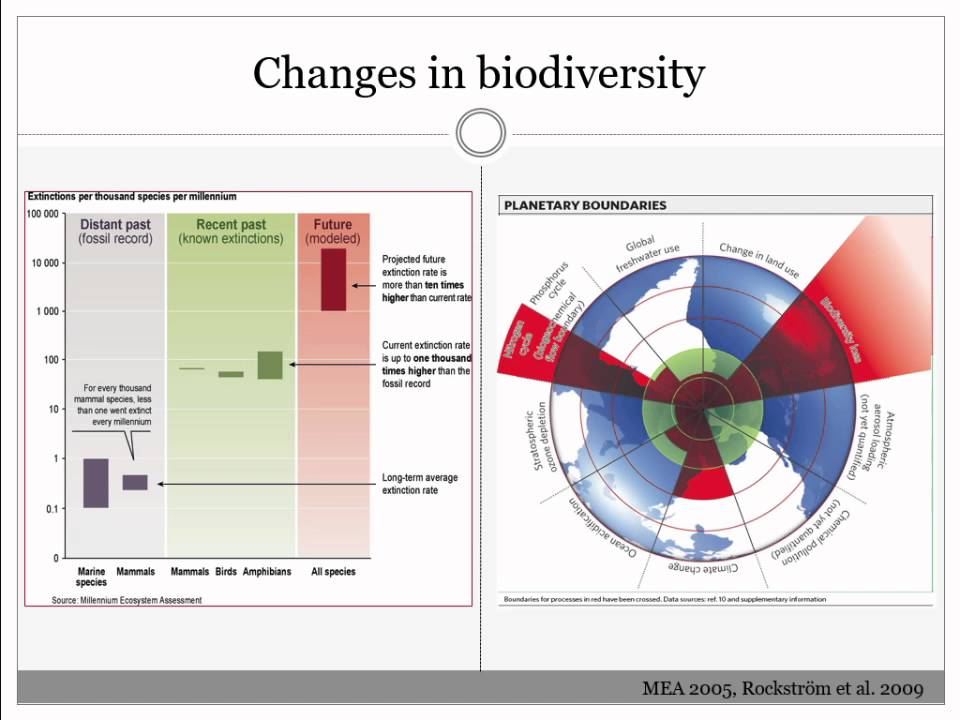 The Healthy Farm Index Biodiversity Calculator - YouTube