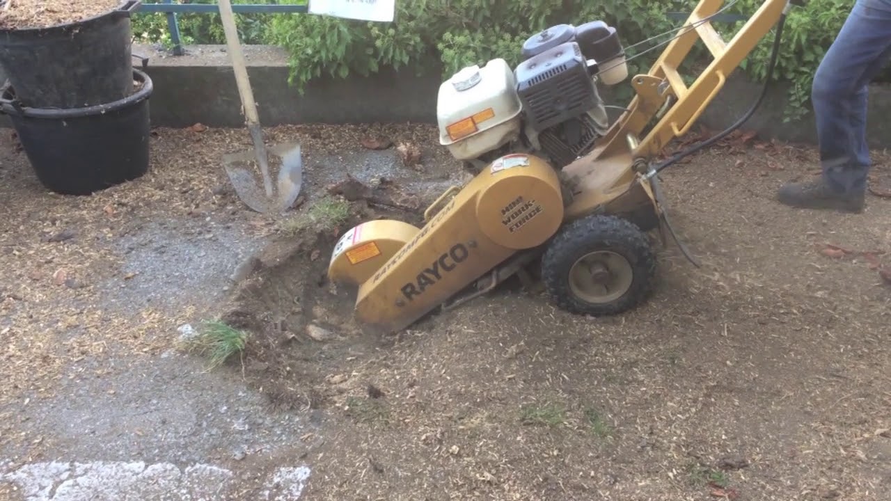 fresaceppi Rayco Rg 13 - YouTube