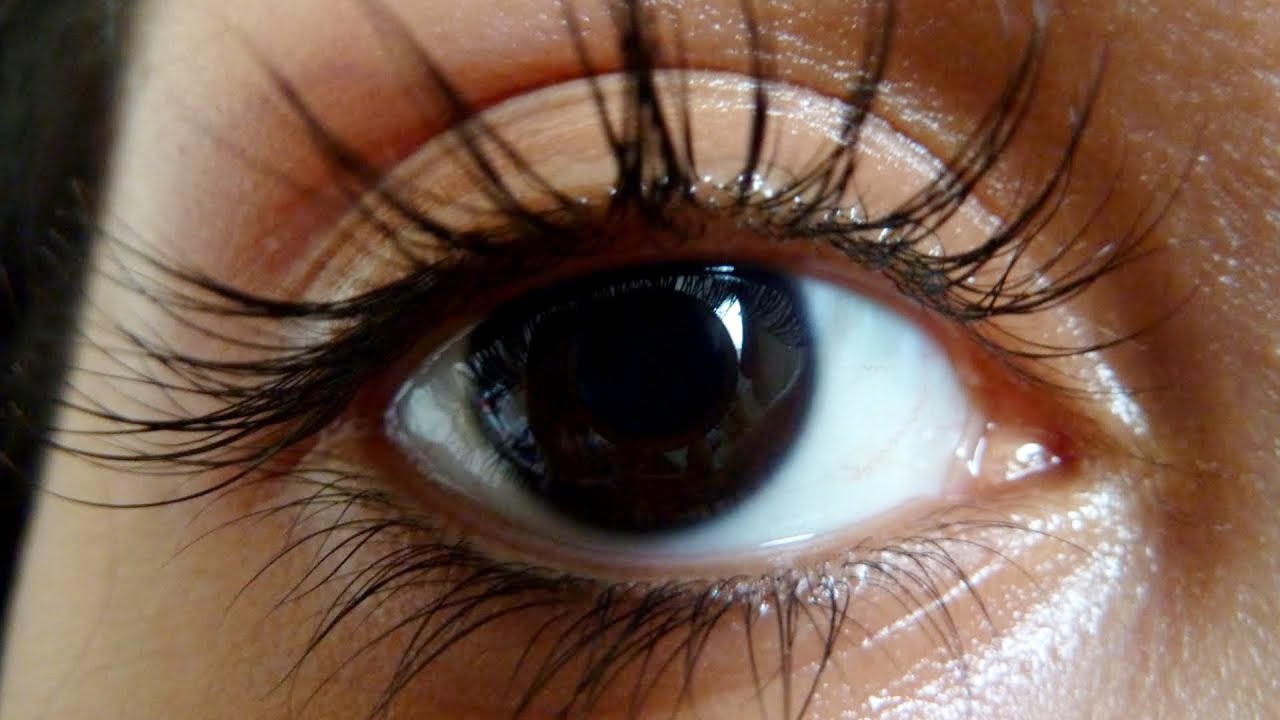 How to Grow Long, Thick,strong & Healthy Lashes,eyebrows and nails ...