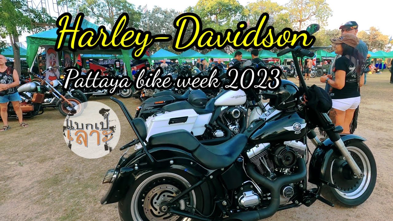 Harley-Davidson (Pattaya bike week2023)@Brakpae-travel #แบกเป้เลาะ ...