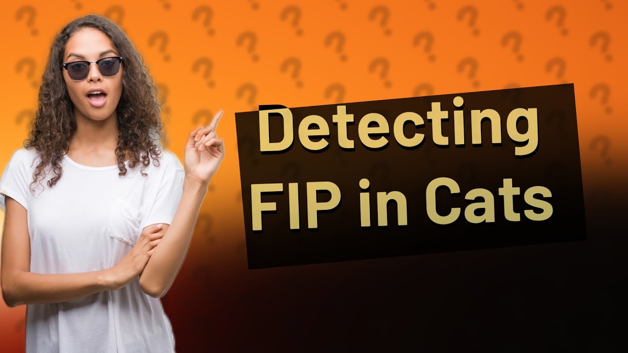 How do I know if my cat has FIP? - YouTube