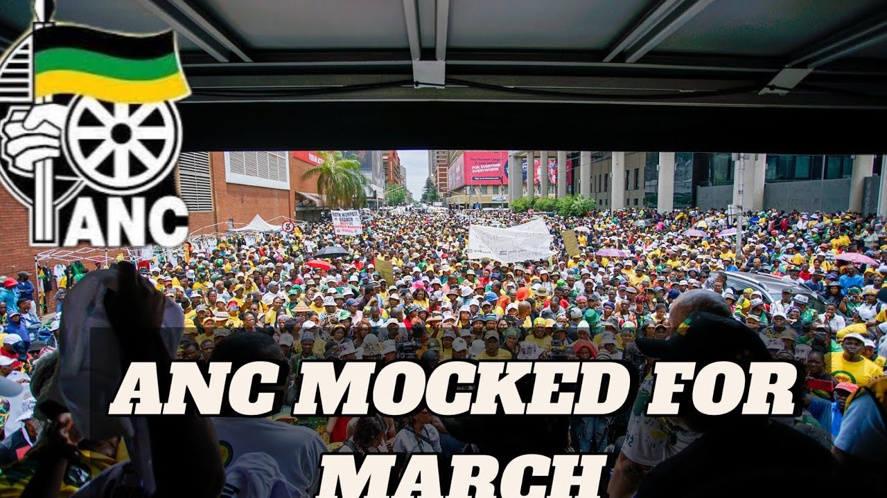 TWITTER MOCKS THE ANC FOR MARCHING AGAINST THEMSELVES #ANC #GNU - YouTube