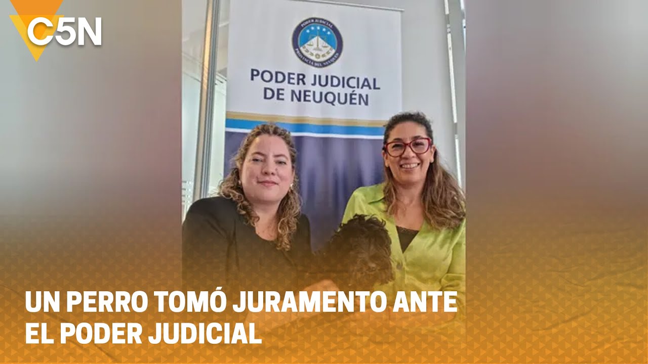 Un PERRO tomó JURAMENTO ante el PODER JUDICIAL - YouTube