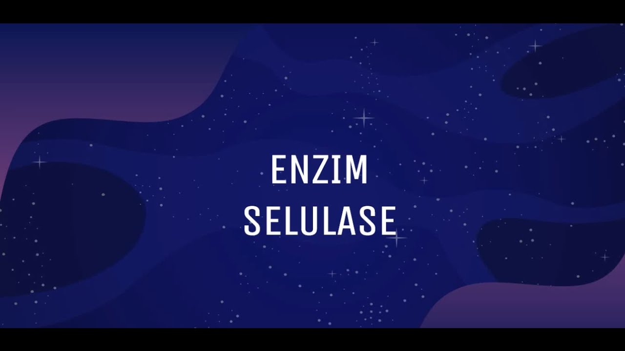 Produksi Enzim Selulase dengan Fermentasi Fase Padat - YouTube