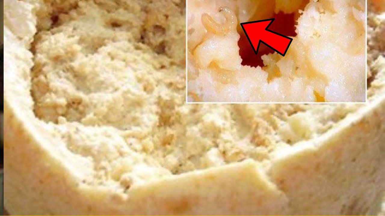El Rico queso que tiene Gusano * El queso "más peligroso" del mundo ...