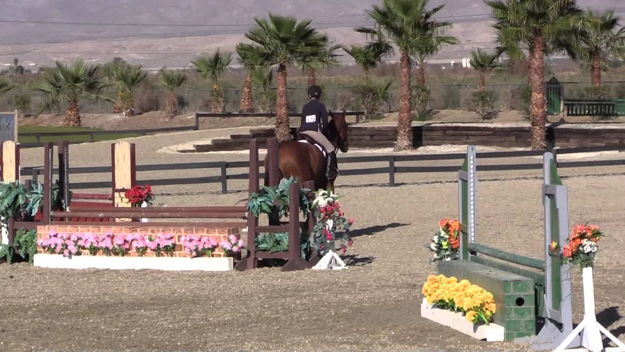 Grace & Sonic - YouTube