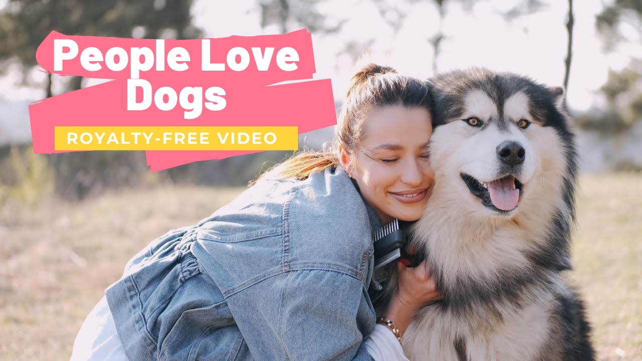 People Love Dogs Stock Footage Royalty free, No copyright, free ...