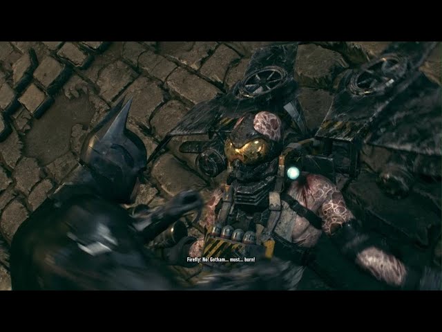 Firefly Arkham City
