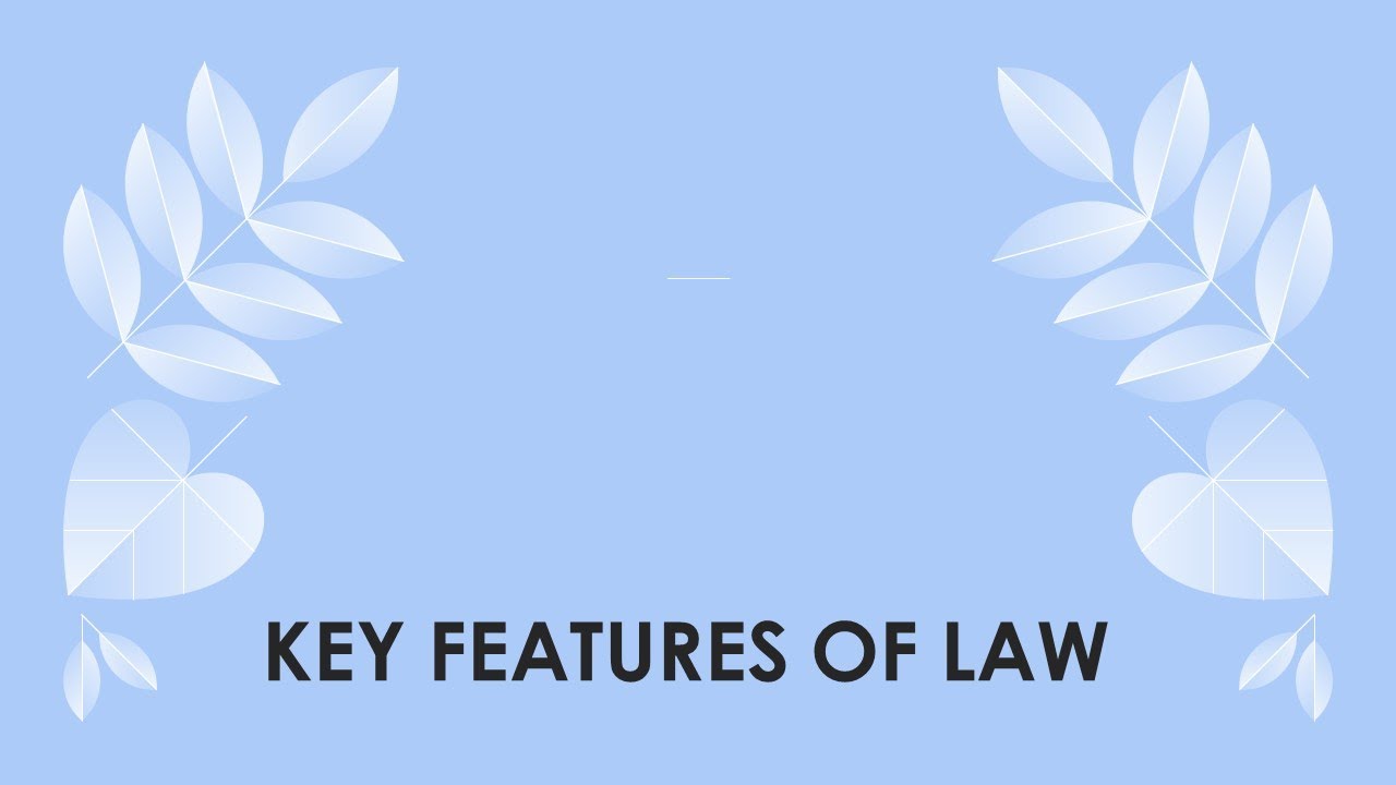 KEY FEATURES OF LAW | ENGLISH JURISPRUDENCE | LLB | Law Lectures - YouTube