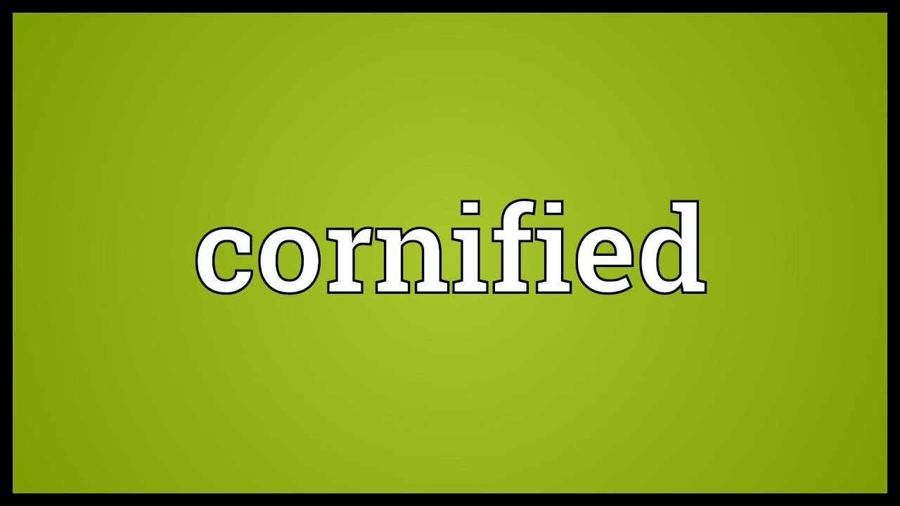 Cornified Meaning - YouTube