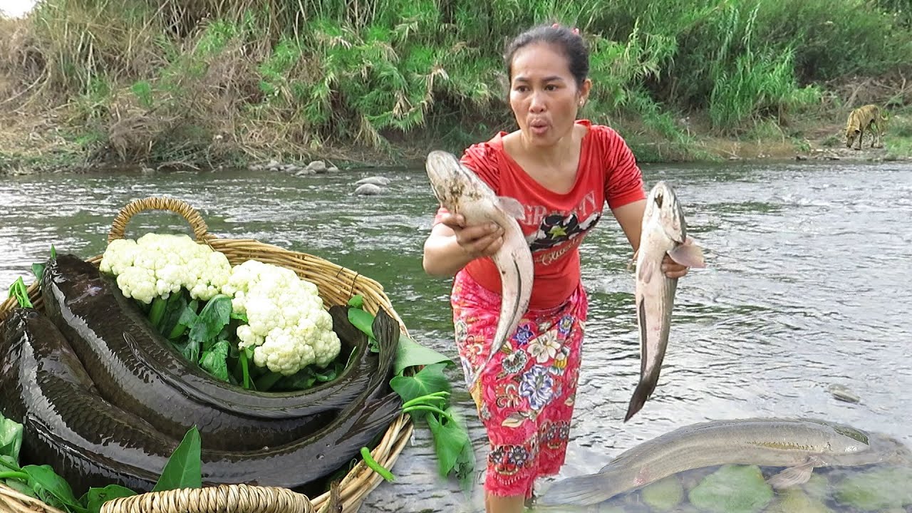 Food for animals - Woman cut water morning glory and catches big fish ...