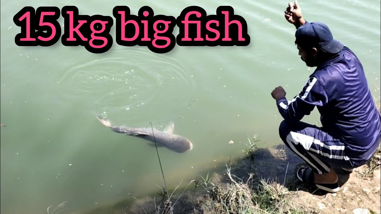 15 kg Big Fish Hunting Mangla Brooti New Update | Ustad Kaka Group ...