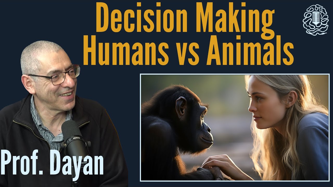 Decision-Making in Humans vs. Animals: Planning, Rewards, and ...