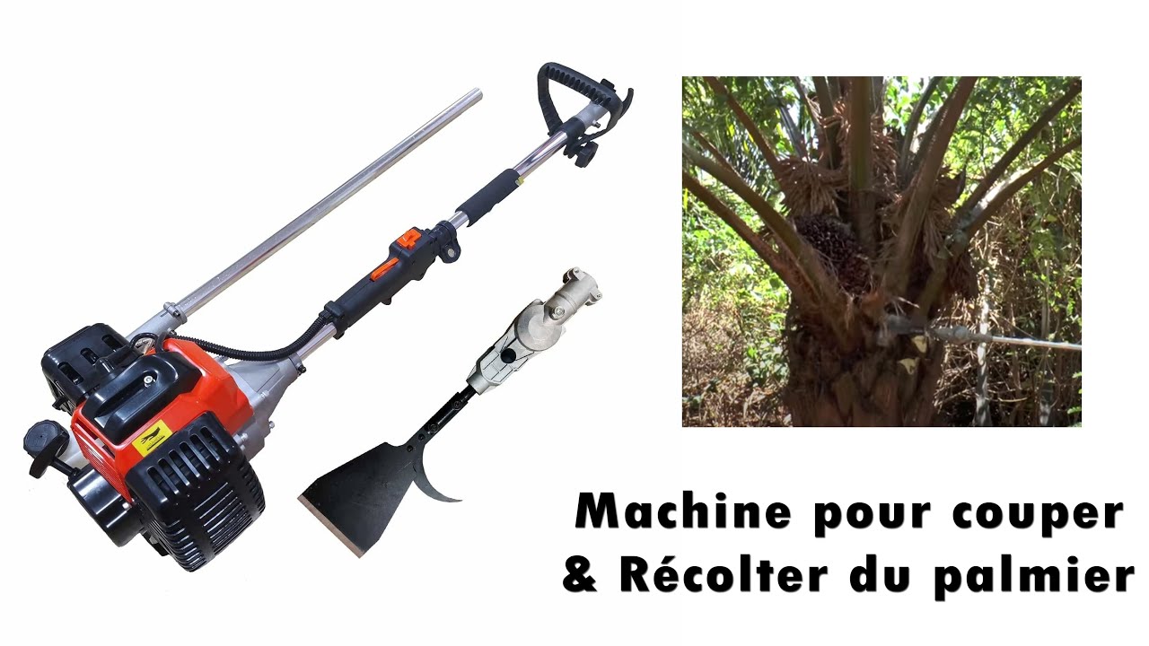 MATERIEL AGRICOLE: Un outil moderne de Récolte de palmier à huile ...