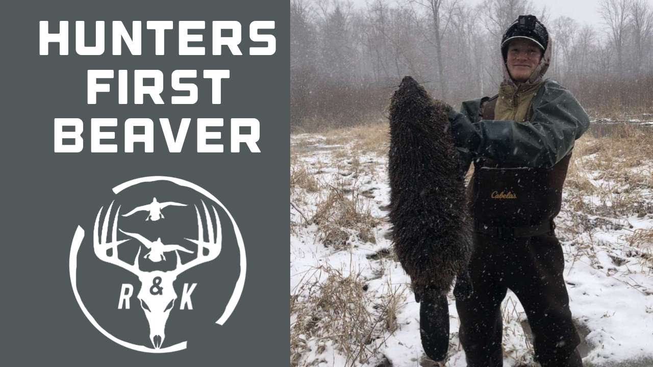 Michigan Beaver Trapping |First Ever Beaver| - YouTube