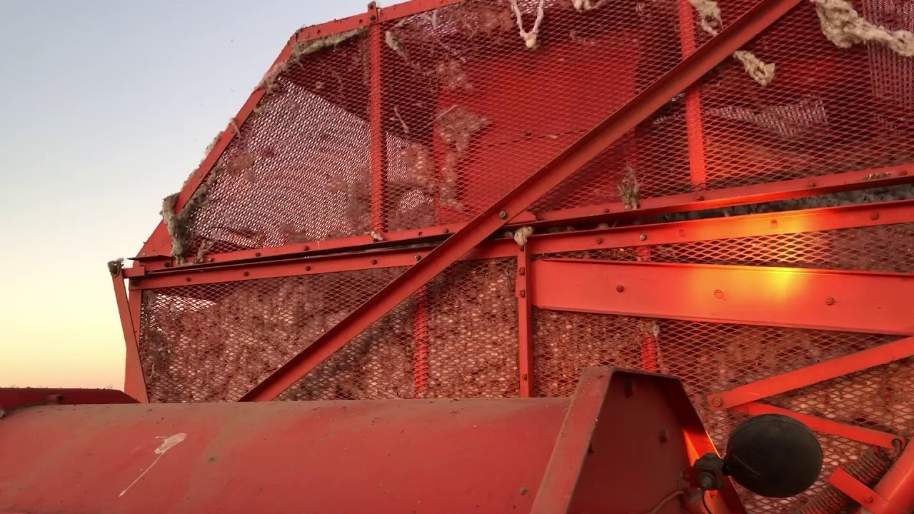 Allis-Chalmers Cotton Stripper-Cotton Harvest 2019 -2 - YouTube
