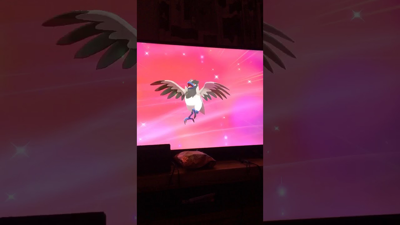 Shiny rookidee evolving~Pokémon sword - YouTube