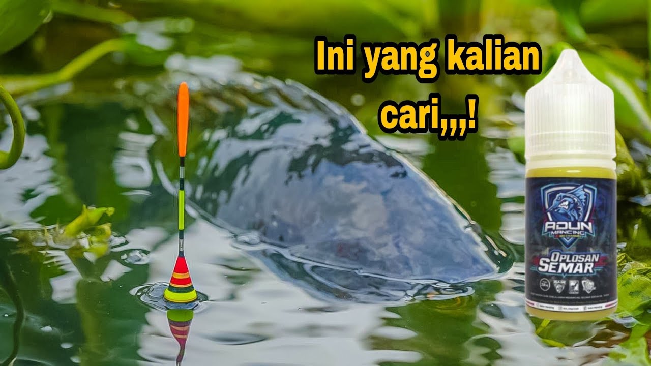 Experimen Umpan Mancing Produk Indonesia Pemancing Bakal Nagih Pake ...
