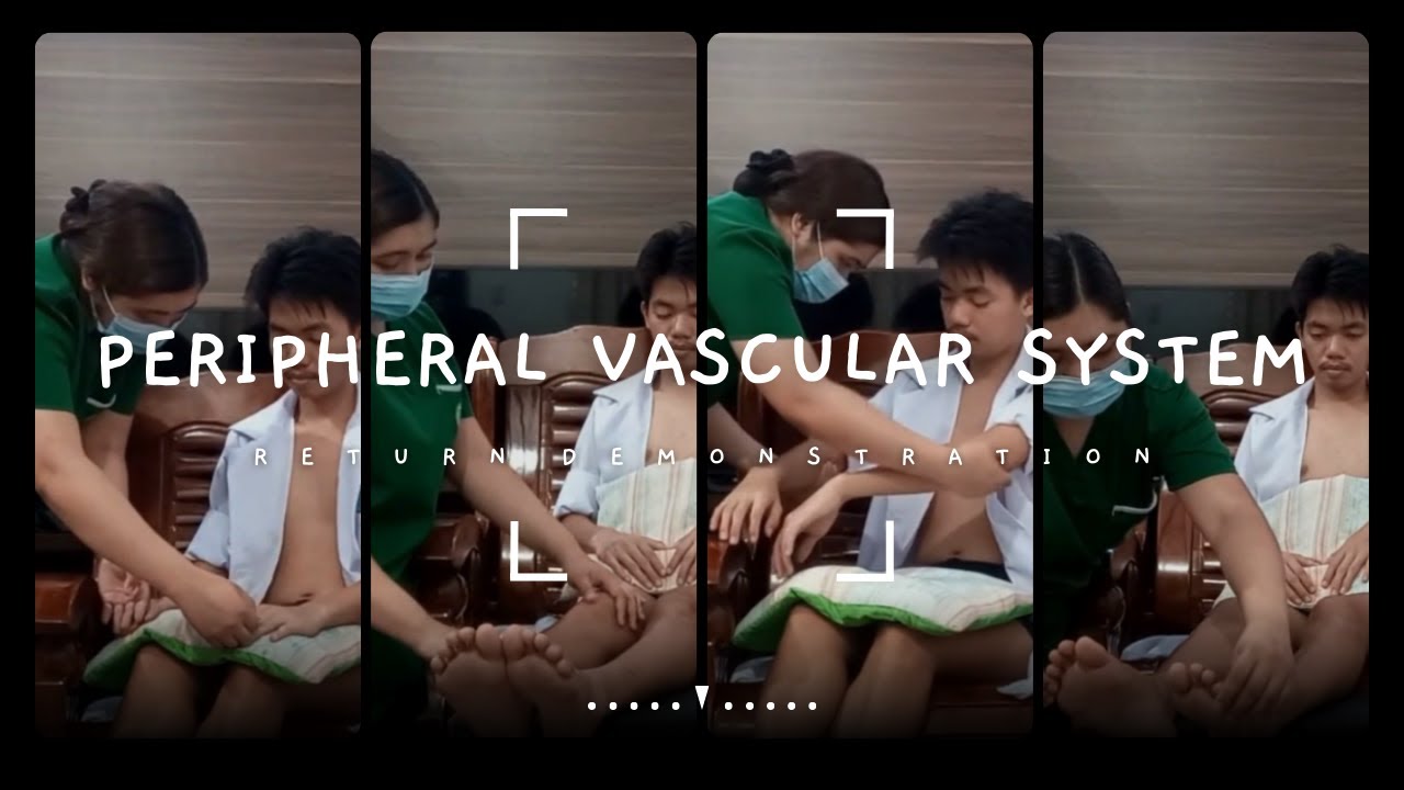 ASSESSMENT FOR PERIPHERAL VASCULAR SYSTEM | RETDEM - YouTube