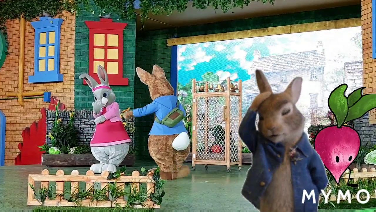 Peter rabbit show. Part 1@JAMHAPPYKIDS - YouTube