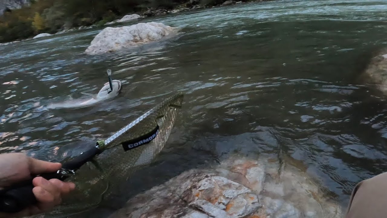 Lov mladice | rijeka Lim | Berane Crna Gora | Fishing Taimen in ...