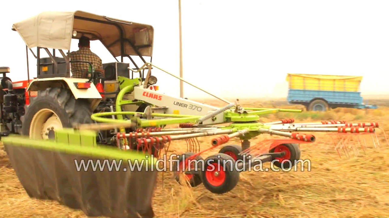 Rotary rake is used to collect hay or straw into windrows - YouTube