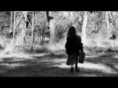 Sezen Aksu - Kucugum