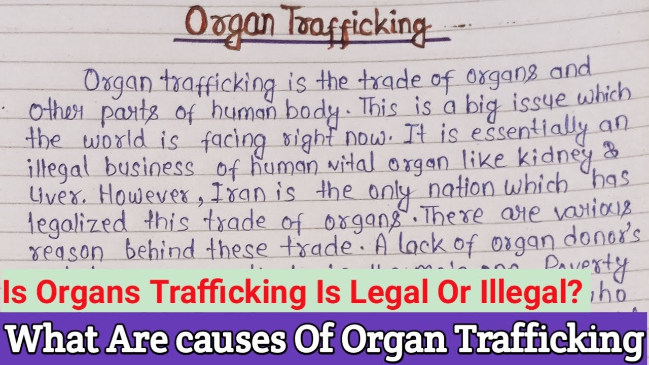 Organ Trafficking Causes Essay|10 Lines On Human Organ Trafficking ...