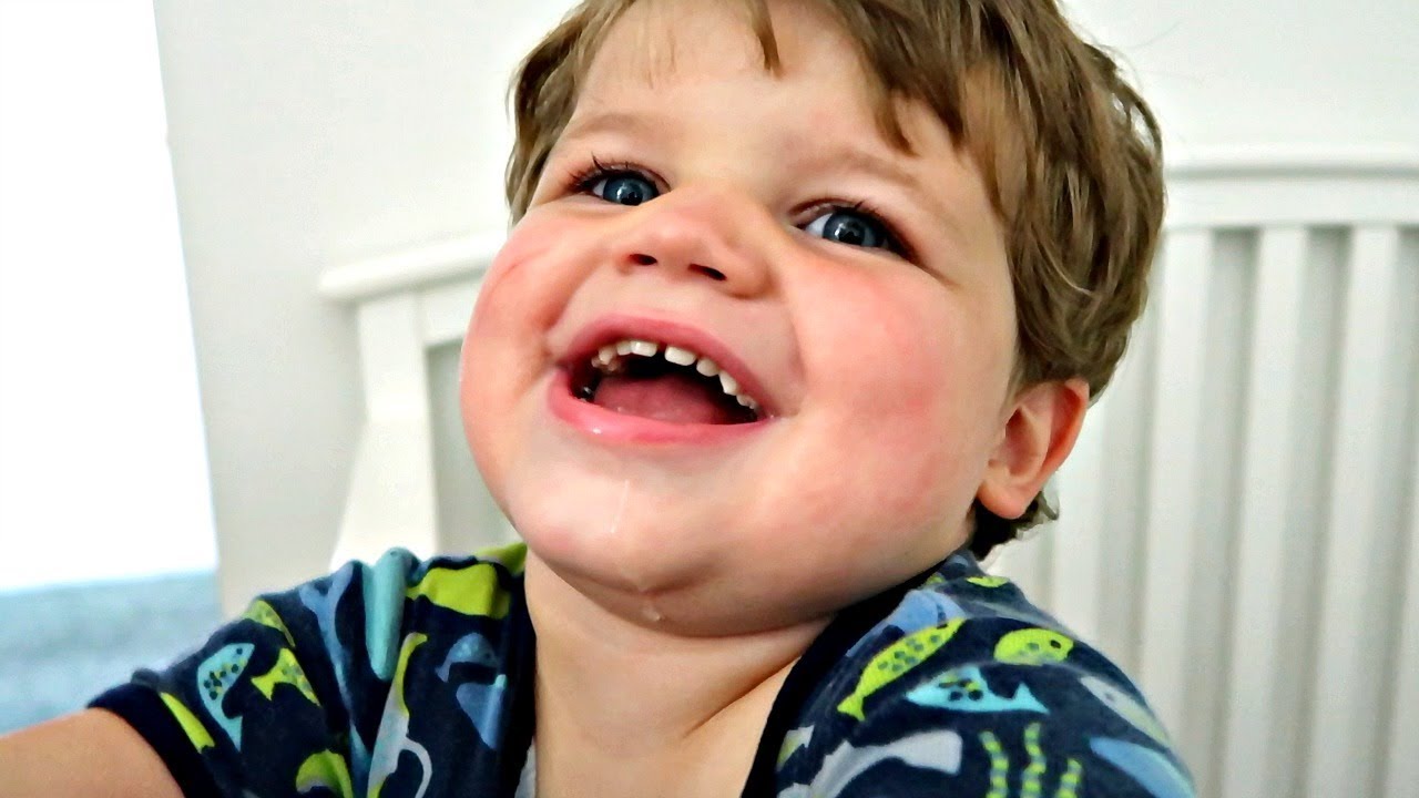 GRIFFIN HAS AN X-RAY - YouTube