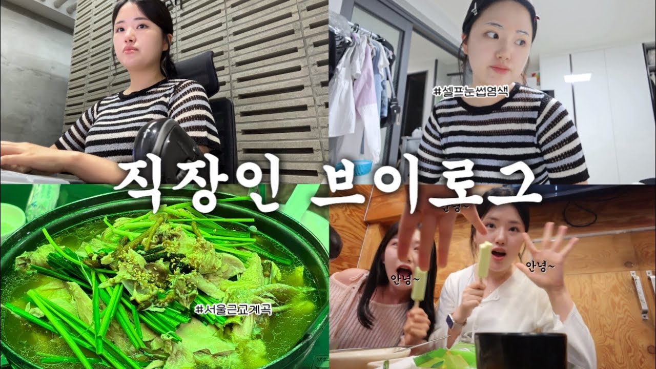Vlog 직장인 브이로그👩🏻💻 회사 놀러가는 사람🙋🏻♀️ 셀프눈썹염색 여름 끝나기 전 계곡 백숙 서울근교계곡