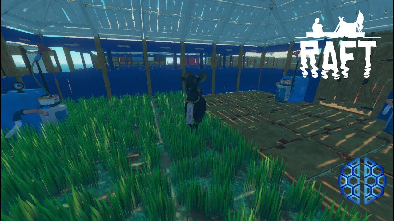 Raft | A YEAR ON THE RAFT | Day 247 | Today, we name a goat - YouTube