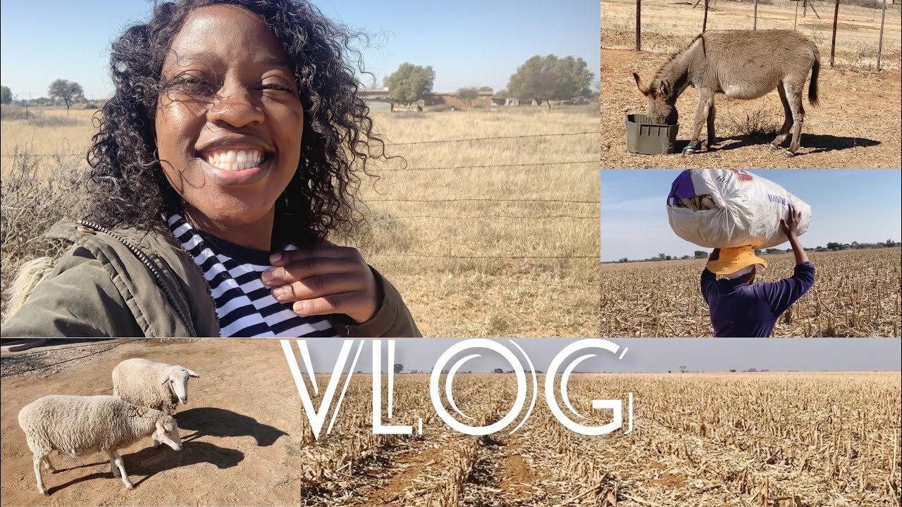ISSA VLOG: Spend a few days with me emakhaya (NORTH WEST) madibogo pan📍 ...