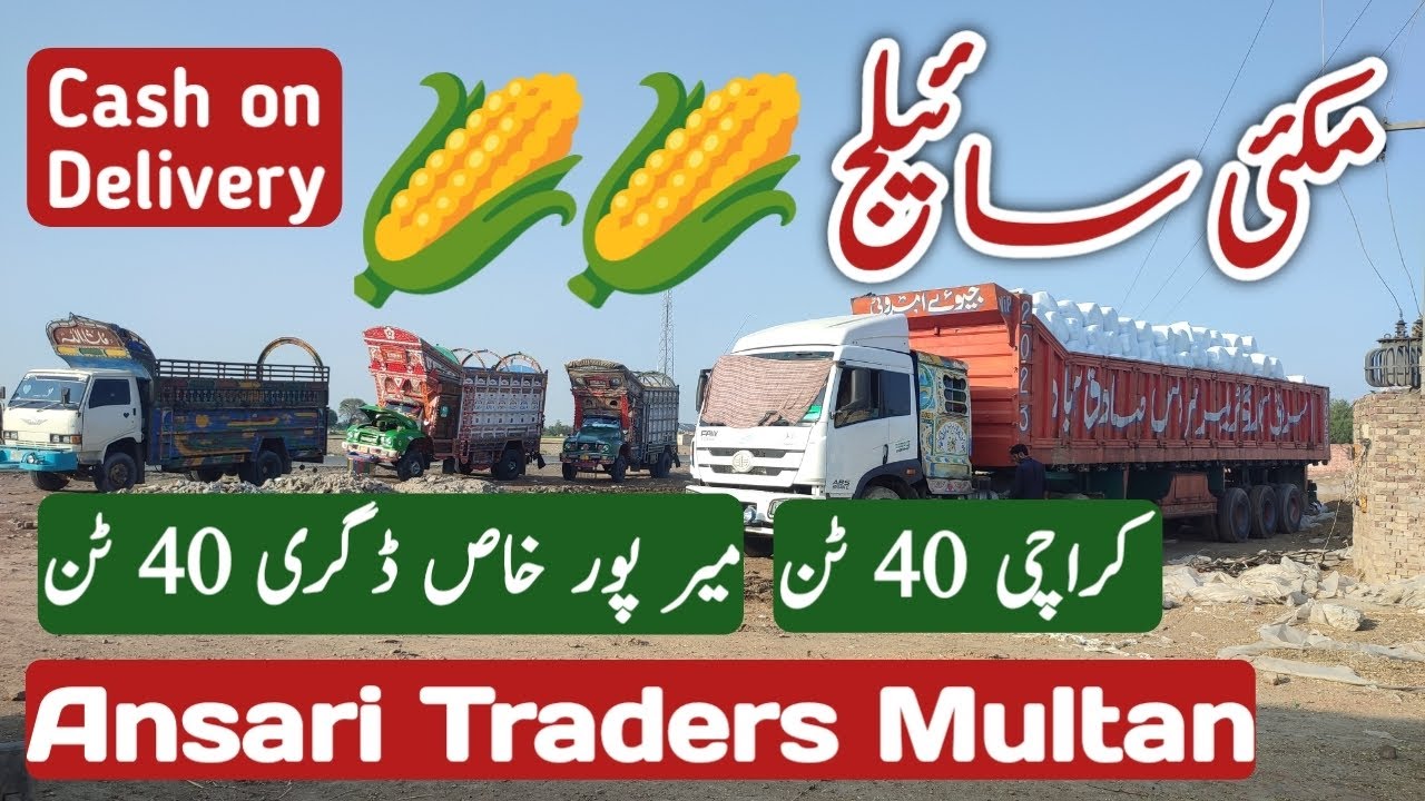Top Quality Makai 🌽 Silage Loadings | Silage Price in Pakistan 2024 | Ansari Traders Multan ...
