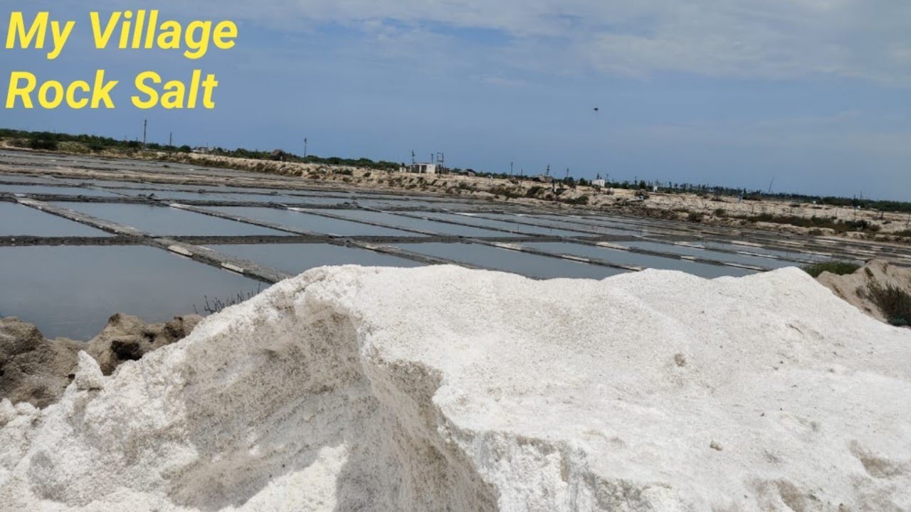 Rock Salt |How To Make Rock Salt In My Village| కల్లుప్పును my village ...