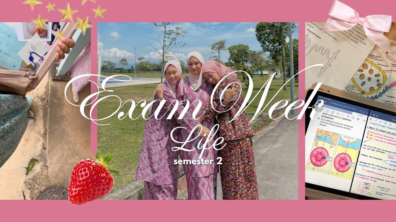 dear entries: vol 2 - pspm 2, study, cry & repeat - YouTube