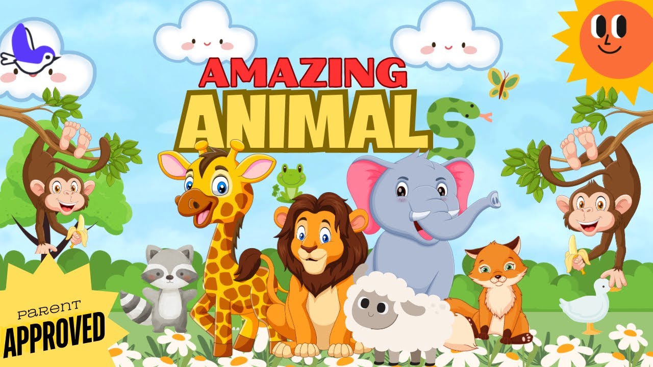 Amazing Animals| Meet The Creatures! - YouTube