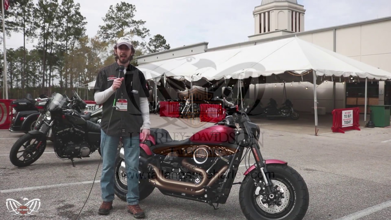 New 2019 Harley-Davidson FAT BOB® in Wicked Red Denim! colors - YouTube
