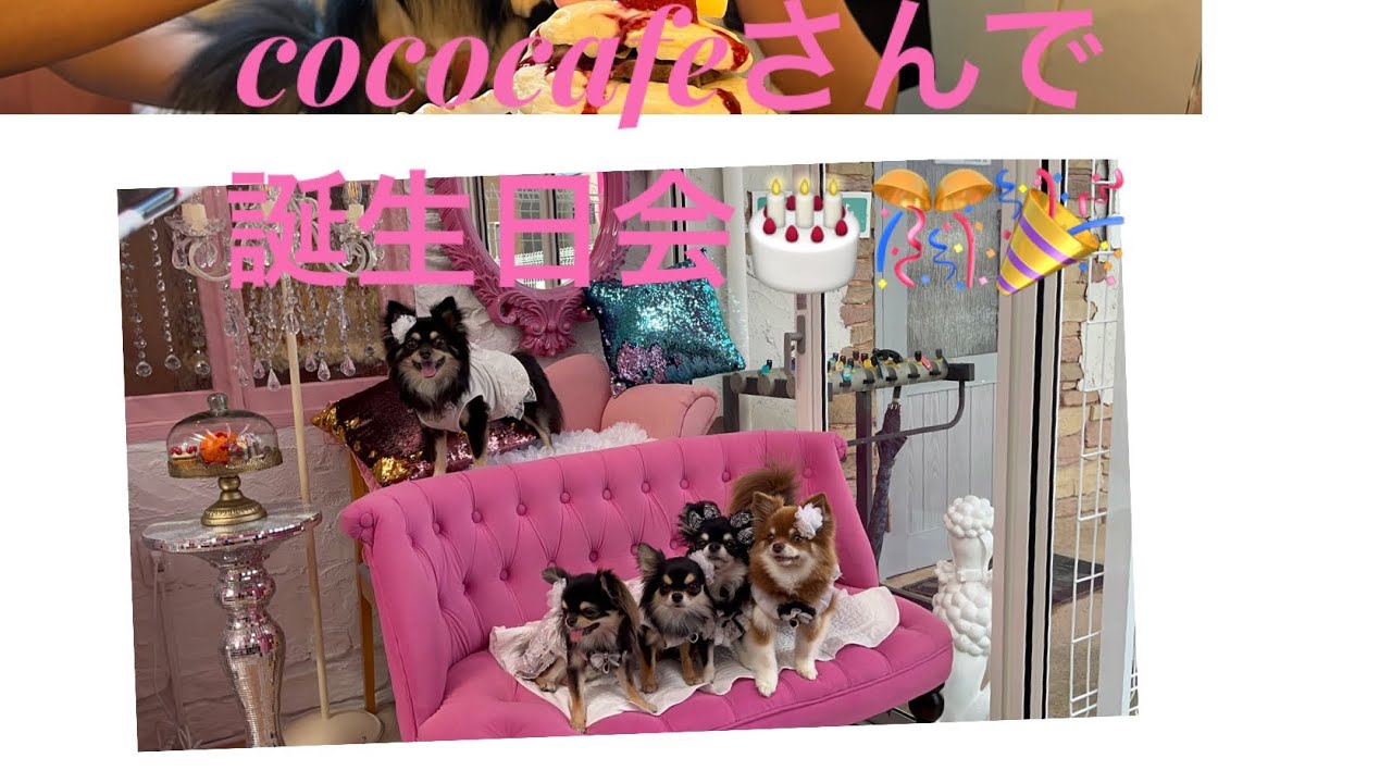 cococafeさんでおともだちの誕生日パーティしてきました！ - YouTube