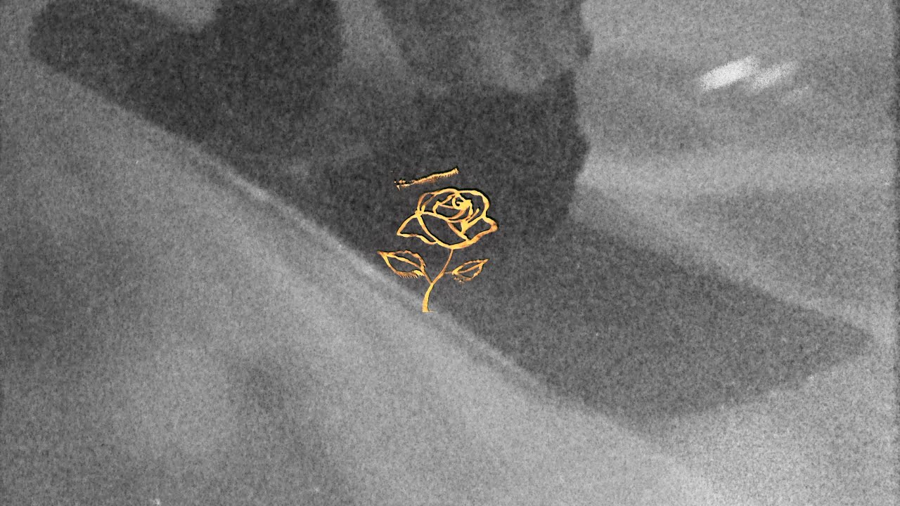 BLOOM - Teaser - YouTube