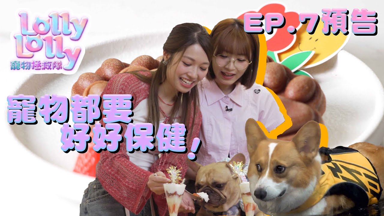 【Lolly Lolly寵物拯救隊】｜寵物都要好好保健！｜EP7 預告｜ Lolly Talk｜ 寵物節目 ｜ HOY TV - YouTube