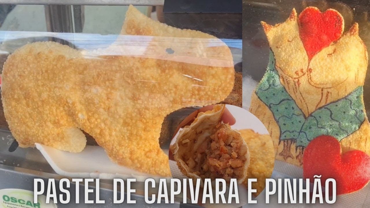 PASTEL DE CAPIVARA, PINHÃO E CAPIXINHA - CURITIBA - YouTube
