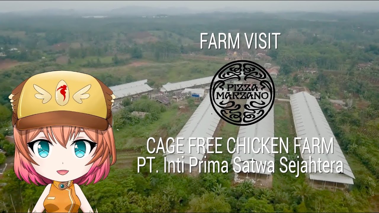 Pabrik, Distributor dan Agen Telur Omega 3 dan 6 Kualitas Terbaik