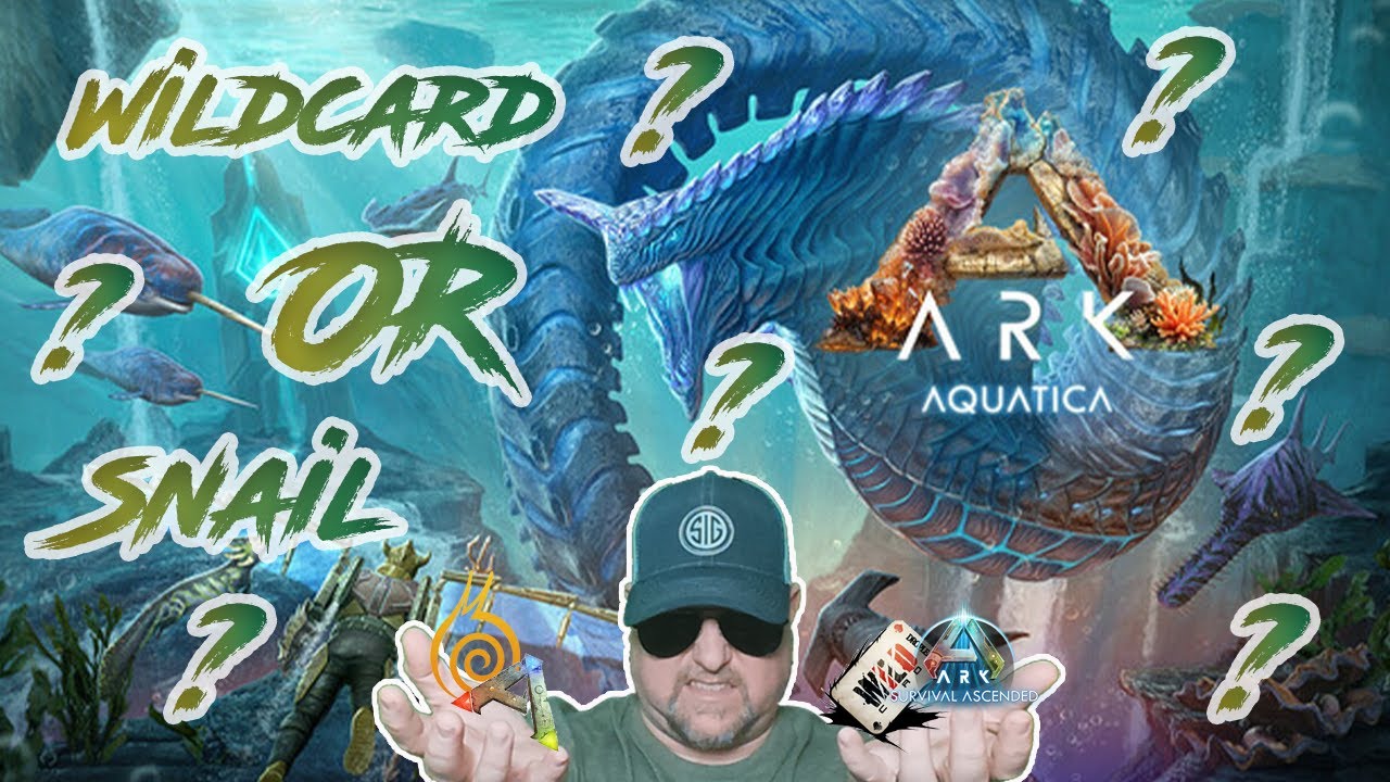 ASA | ASA NEWS & UPDATES | WILDCARD OR SNAIL? - YouTube