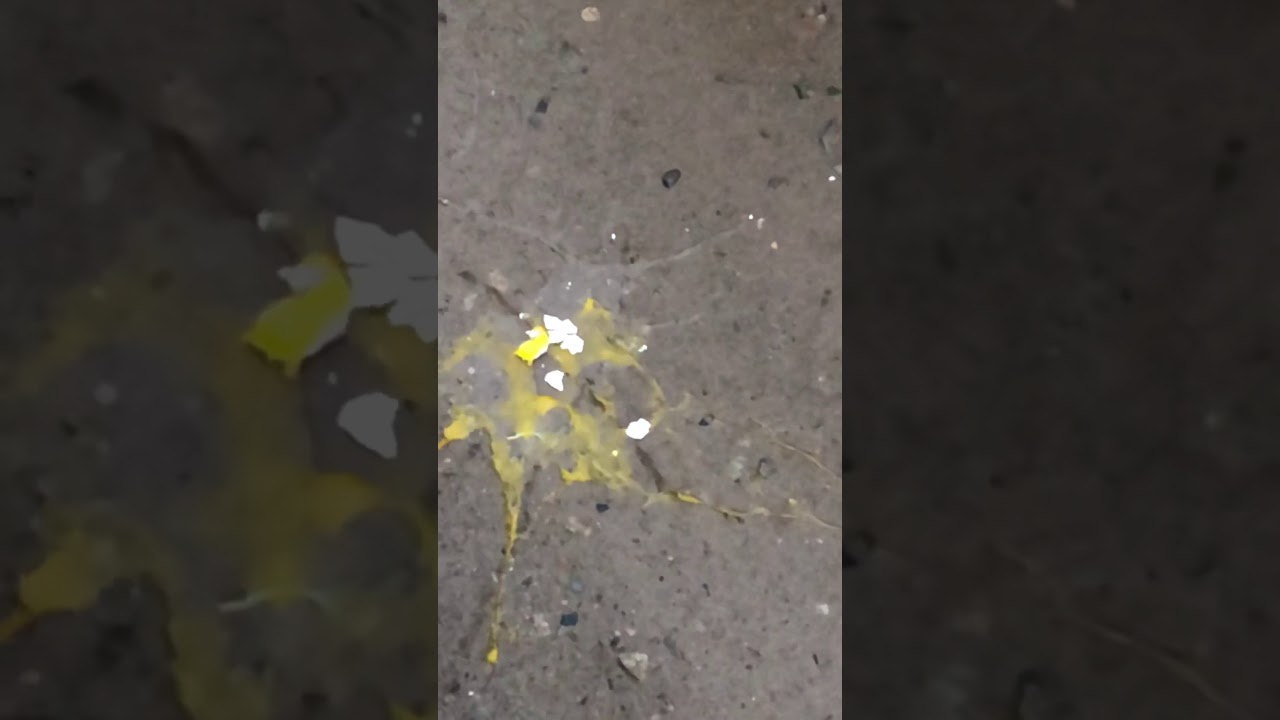 Egg explodes on impact - YouTube
